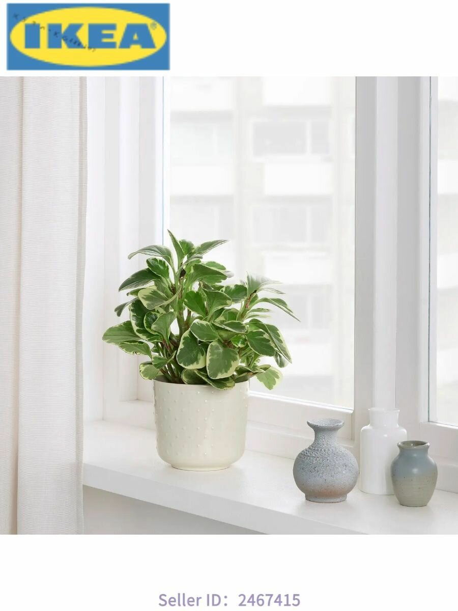 IKEA Кашпо 2.1 л, 13 см, 1 шт, цвет белый