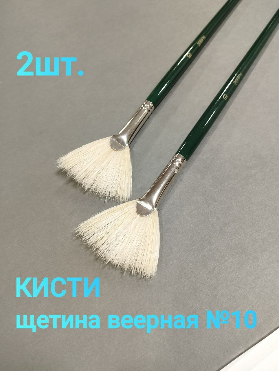 Кисти веерные из отбеленной щетины №10, 2шт.