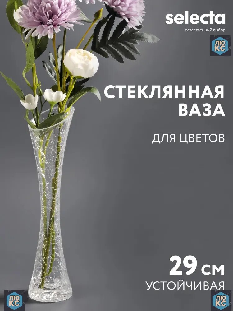 Ваза Selecta стеклянная для цветов 29 см прозрачная, настольная, 1 шт