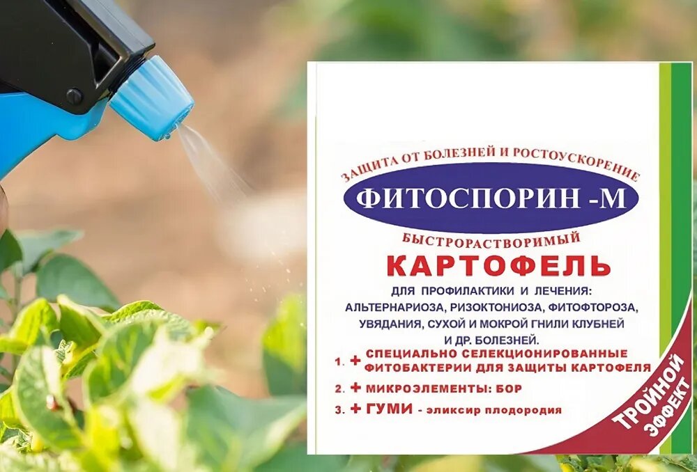 Средство защиты растений ОЖЗ Кузнецова Фитоспорин-М, паста, для картофеля, 100 г