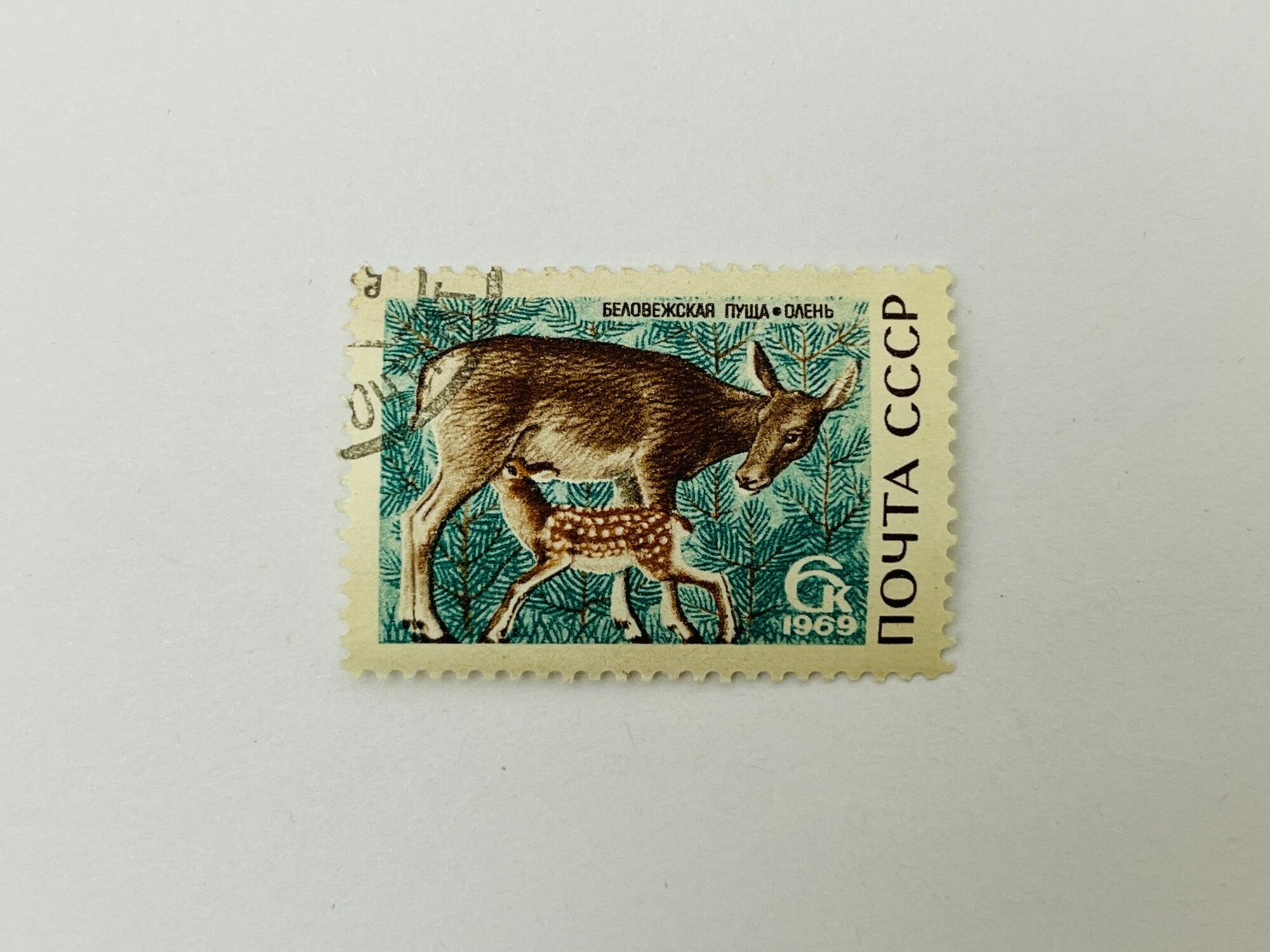 Беловежская пуща. Олень. Фауна. СССР. 1969. Загорский: 3718. Гашен