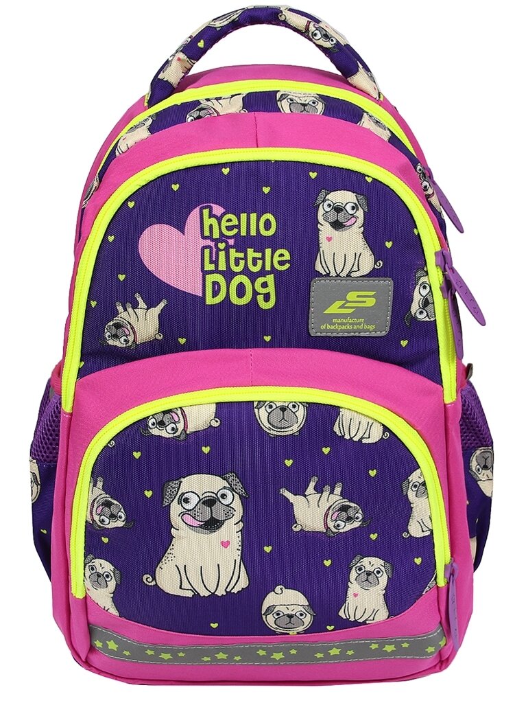 Школьный рюкзак с анатомической спинкой / Для девочки / Гармония 2