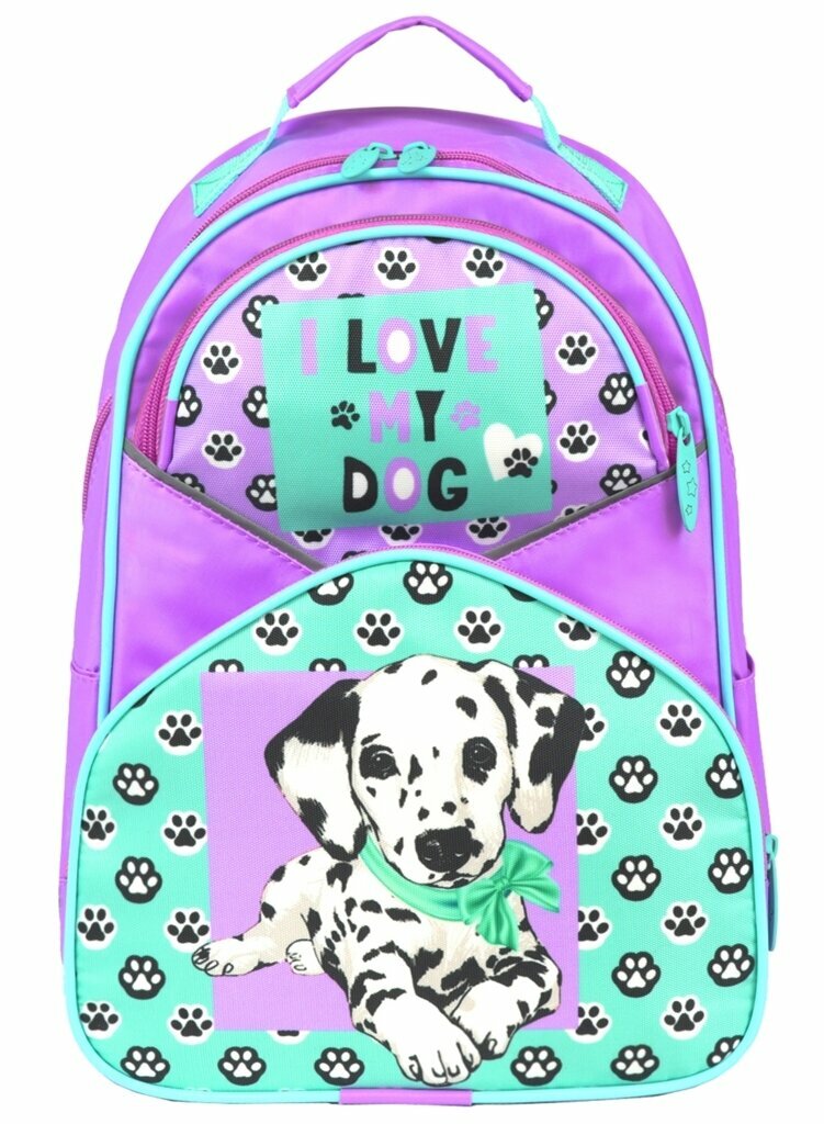 Школьный ранец с анатомической спинкой / Антошка Орт