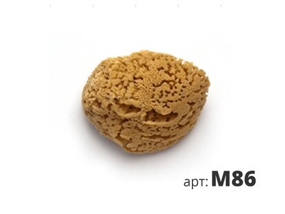 Губка Морская Натуральная Stmdecor M86 17-18см.