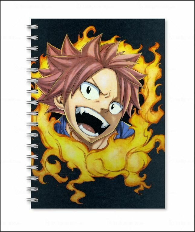 Тетрадь Хвост Феи, Fairy Tail №15