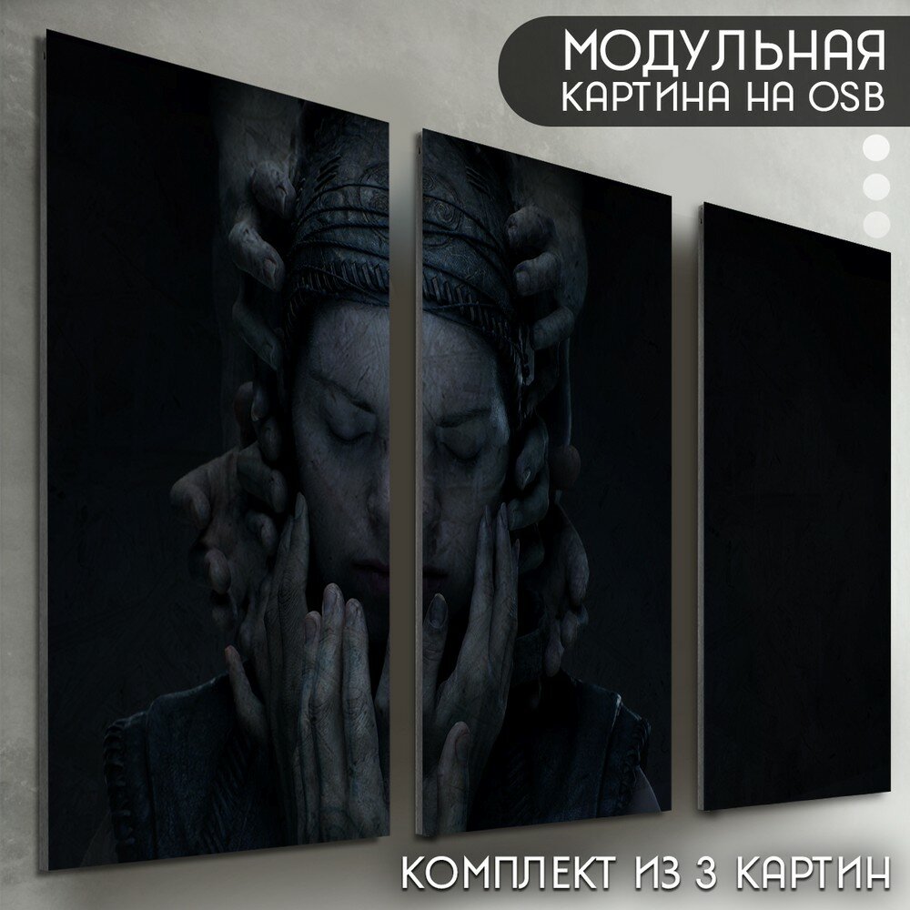 Модульная картина на рельефной доске ОСП "игра Hellblade 2 (сенуа, хелблейд, PS, PC, XBOX, SWITCH) - 6652"