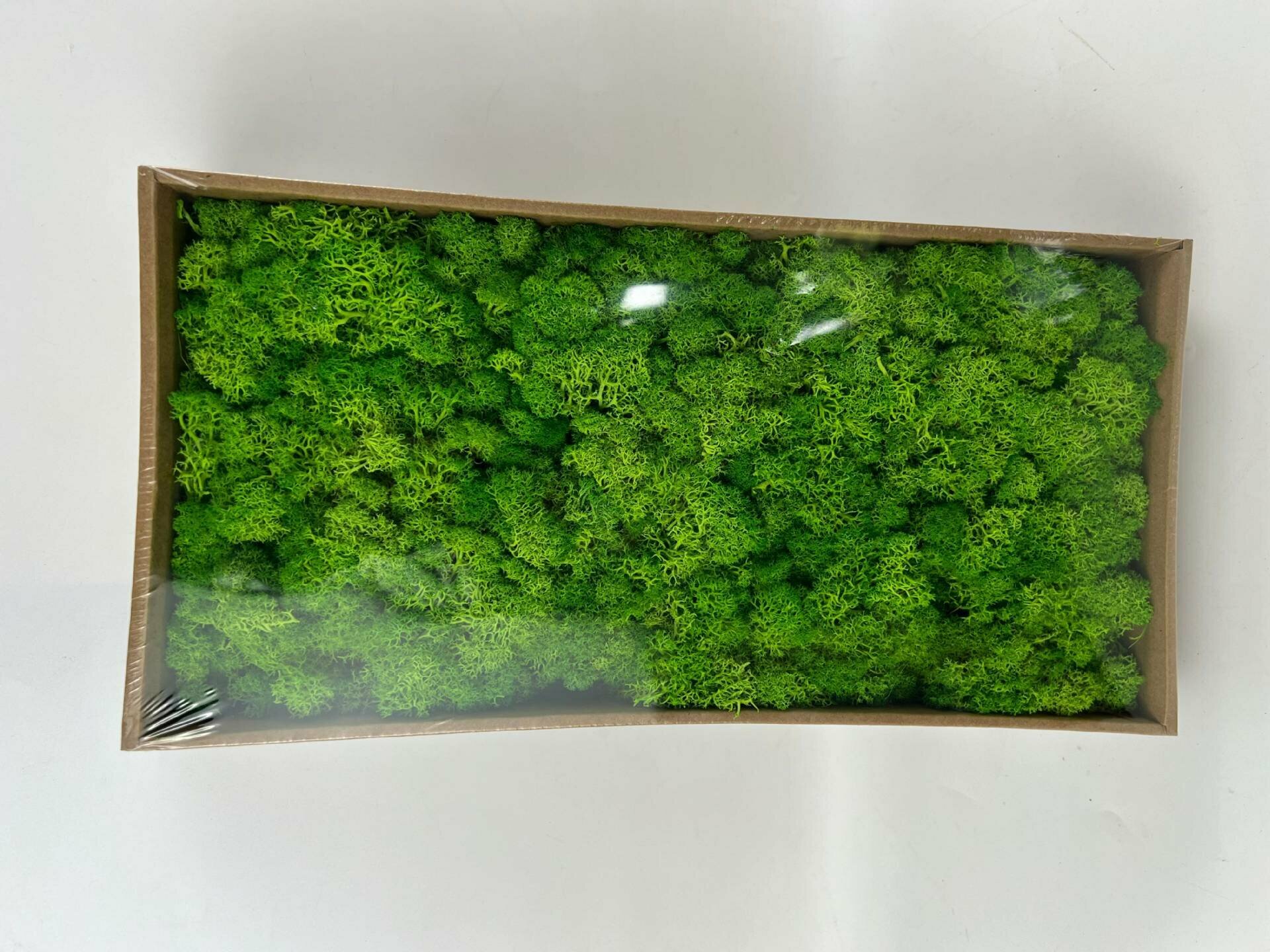 Вечный мох Grass of Dreams mzchc-0035, искусственный, зеленый, в штучной упаковке