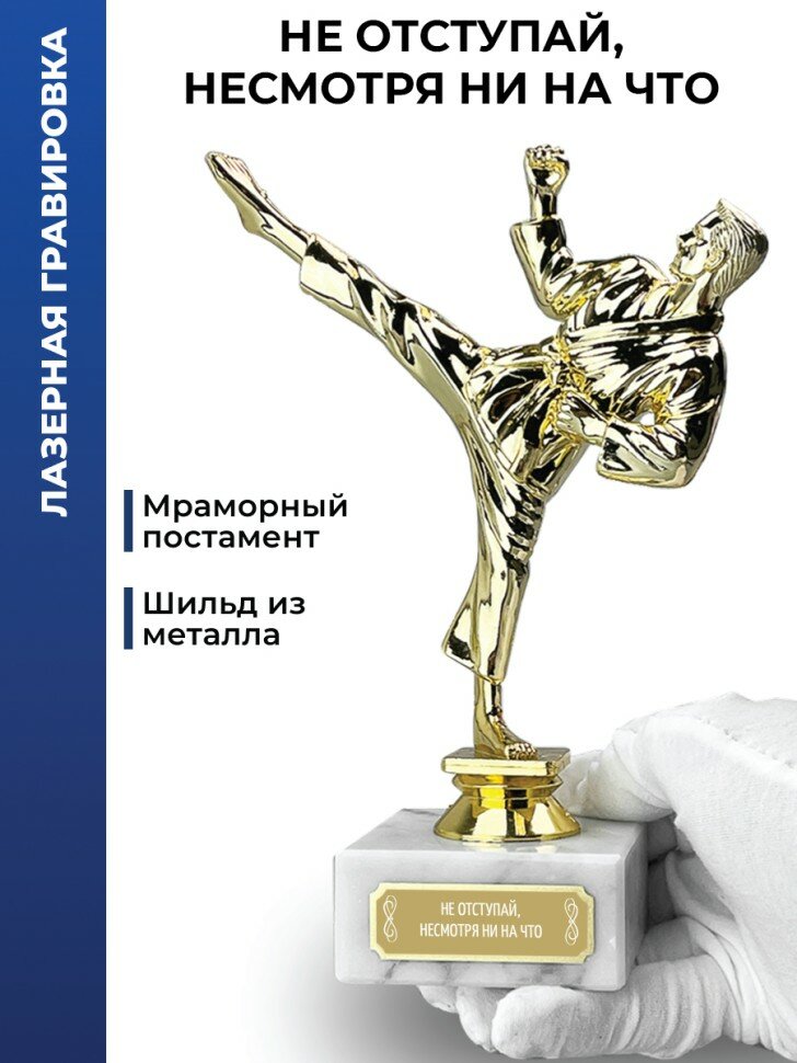Статуэтка Карате "Не отступай, несмотря ни на что" (19,5 см)