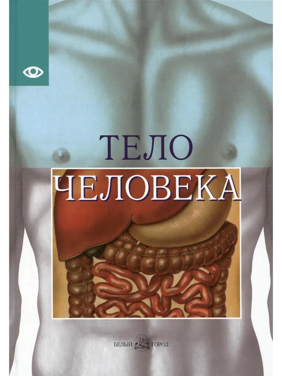 Тело человека