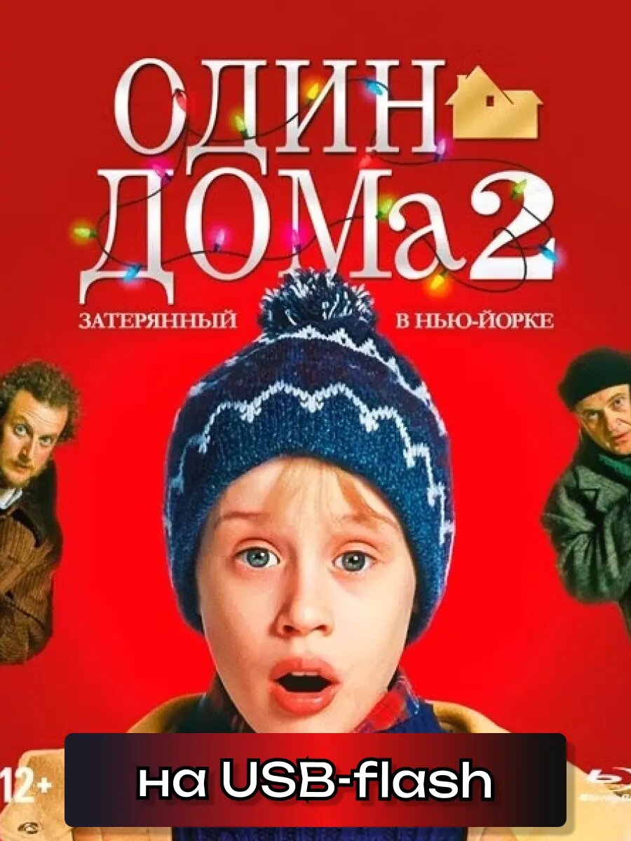 Фильм "Один дома 2" на USB флешке