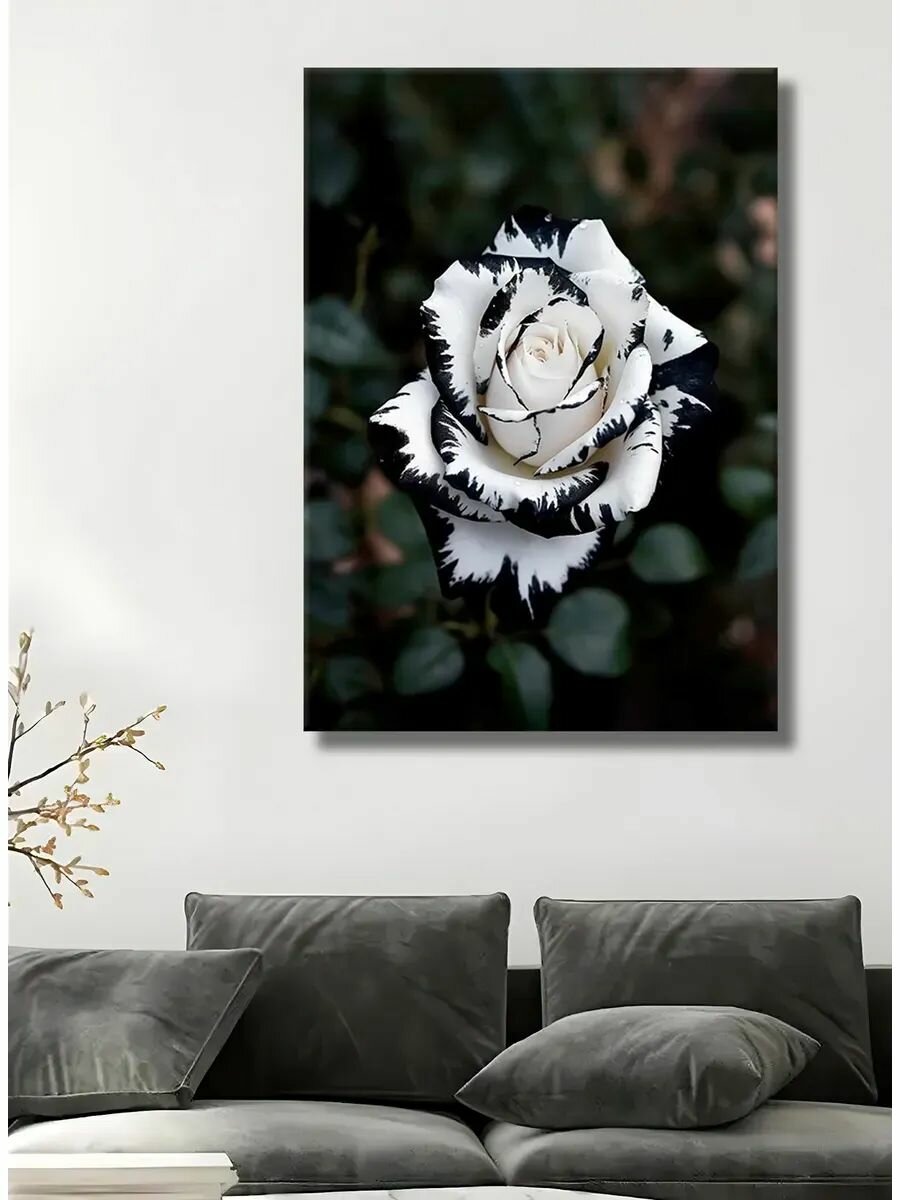 Картина "Черно-белая загадка", модульная 30х40см 1шт.