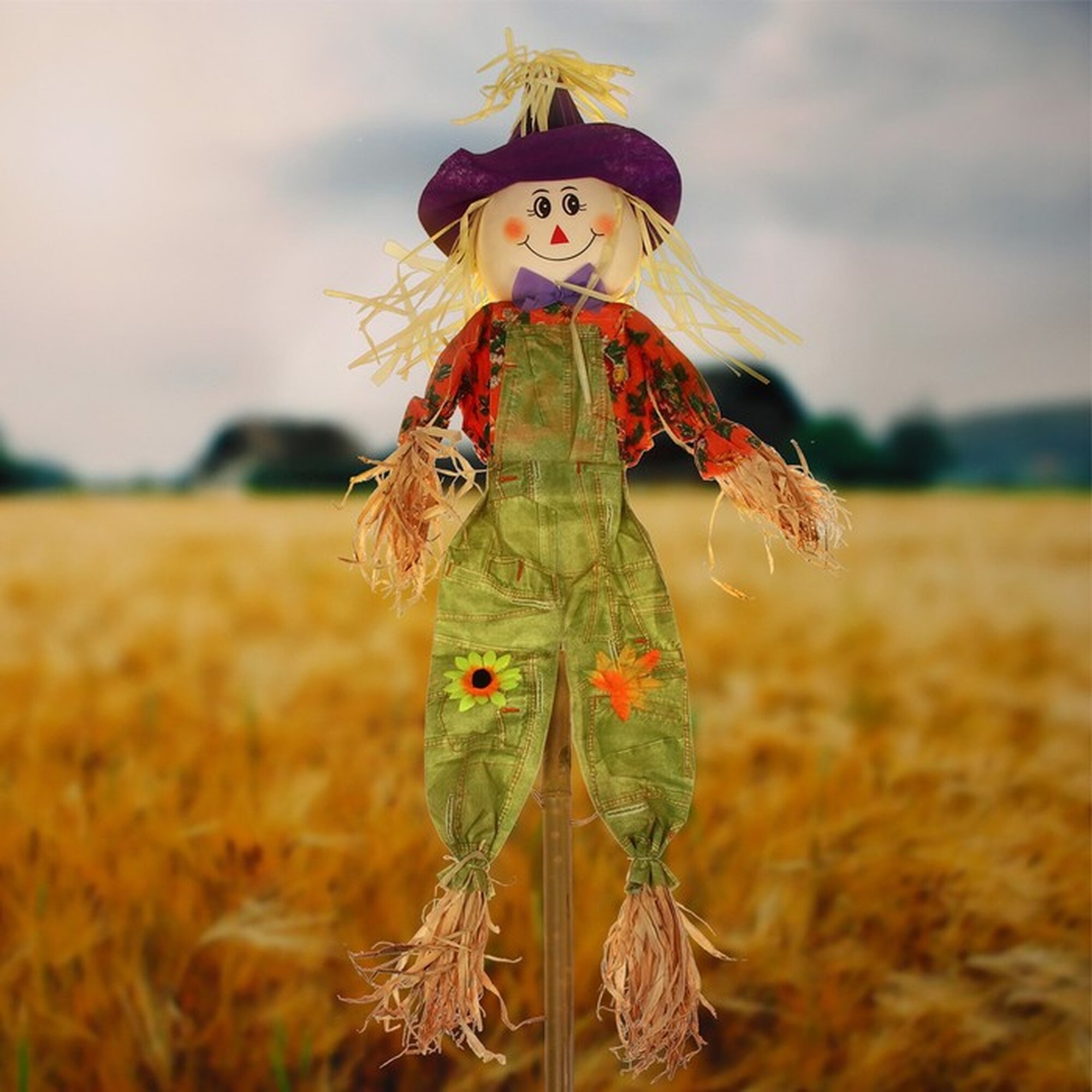 Огородное пугало Greengo, дерево/текстиль, высота 153 см, микс