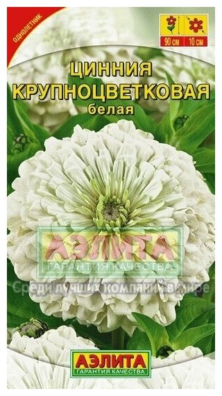 Семена "Цинния Крупноцветковая Белая" от Агрофирмы "Аэлита" - 0,3 гр