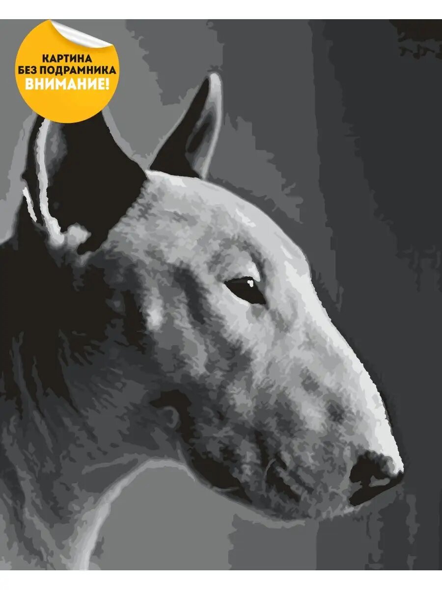 Картина по номерам "Собака Бультерьер"