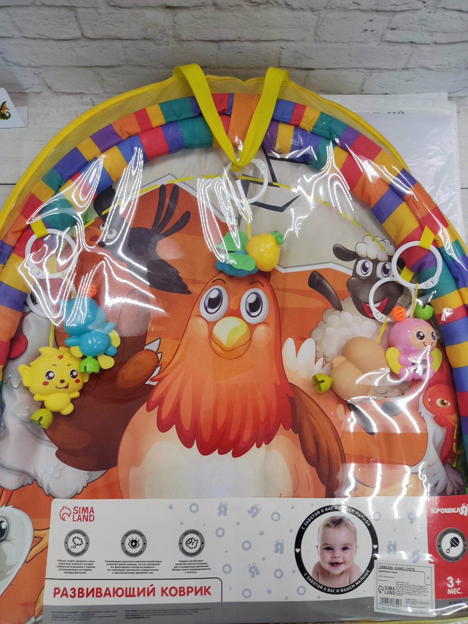 Развивающий коврик с дугами и игрушками «Домашние животные», круглый