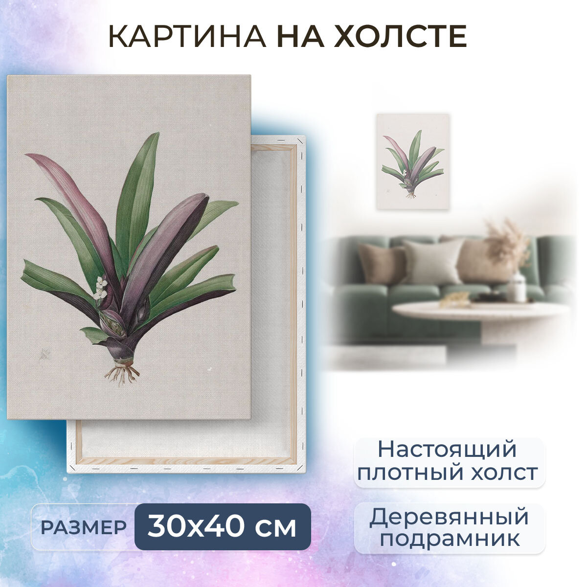 Картина на холсте с подрамником / Pierr - Joseph Redoute / Пьер-Жозеф Редуте