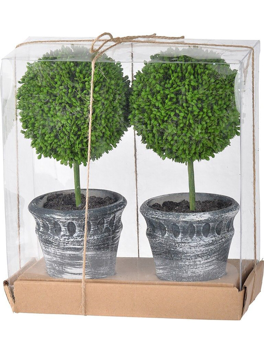 Растения декоративные Glasar Самшит, набор 2 предмета 20х10х24 см