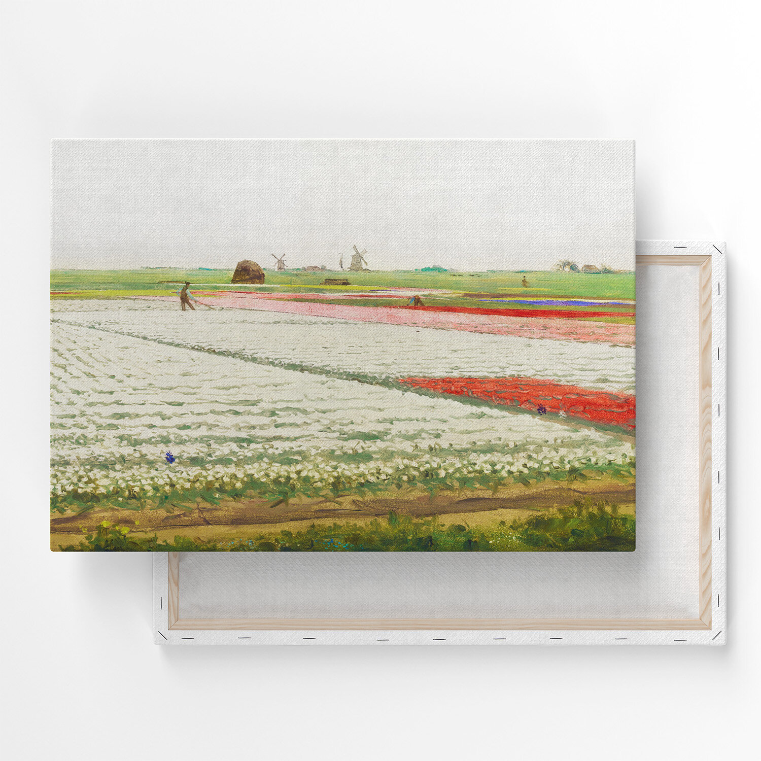 Картина на холсте, репродукция / Геррит Виллем Дейссельхоф - Tulip Fields / Размер 80 x 106 см