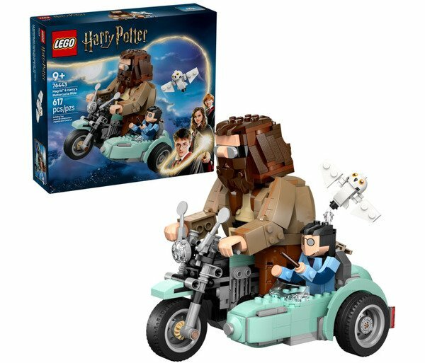 Конструктор LEGO Harry Potter 76443 Поездка Хагрида и Гарри на мотоцикле (Lego 76443)