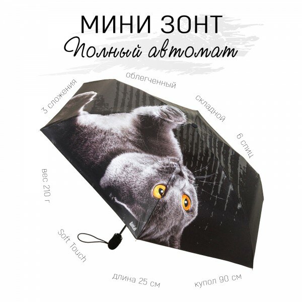 Зонты