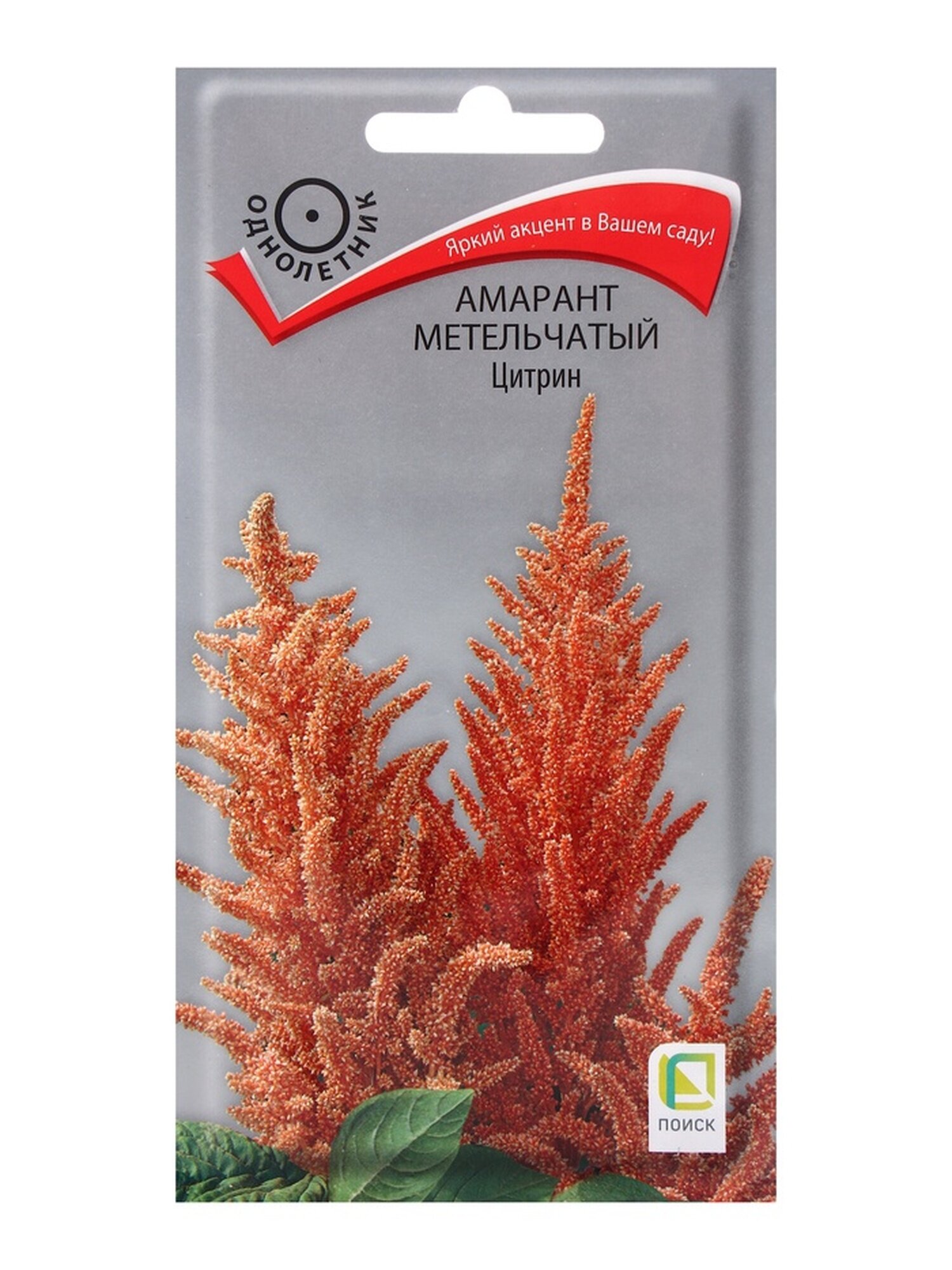 Семена поиск "Амарант Цитрин", однолетние, декоративные, оранжевые, 0.05 г