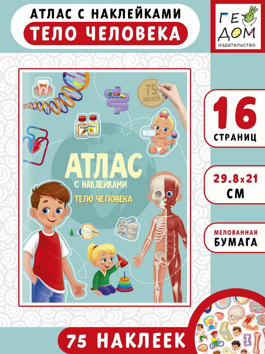 Атлас с наклейками. Тело человека