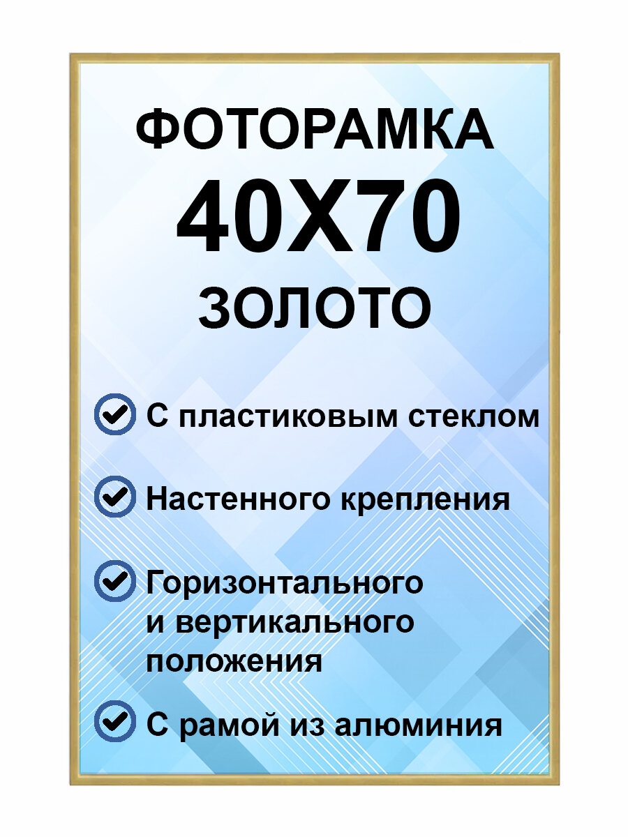 Фоторамка металлическая золотая для постера, картины, фотографии 40х70 см