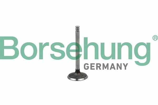 Клапан впускной Borsehung B18998 IN 36x7x89.5 мм, Audi A4 1.6-2.8 01, 95-11, 00, A6 1.8-4.2 07, 97-, VW Golf, Bora, Passat B5 all 96-