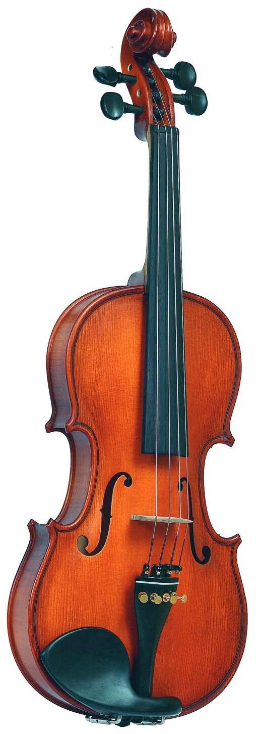 Скрипка Gliga Genial1 S-V018