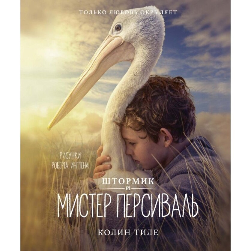 Книга Machaon Штормик и мистер Персиваль. 2021 год, Тиле Колин