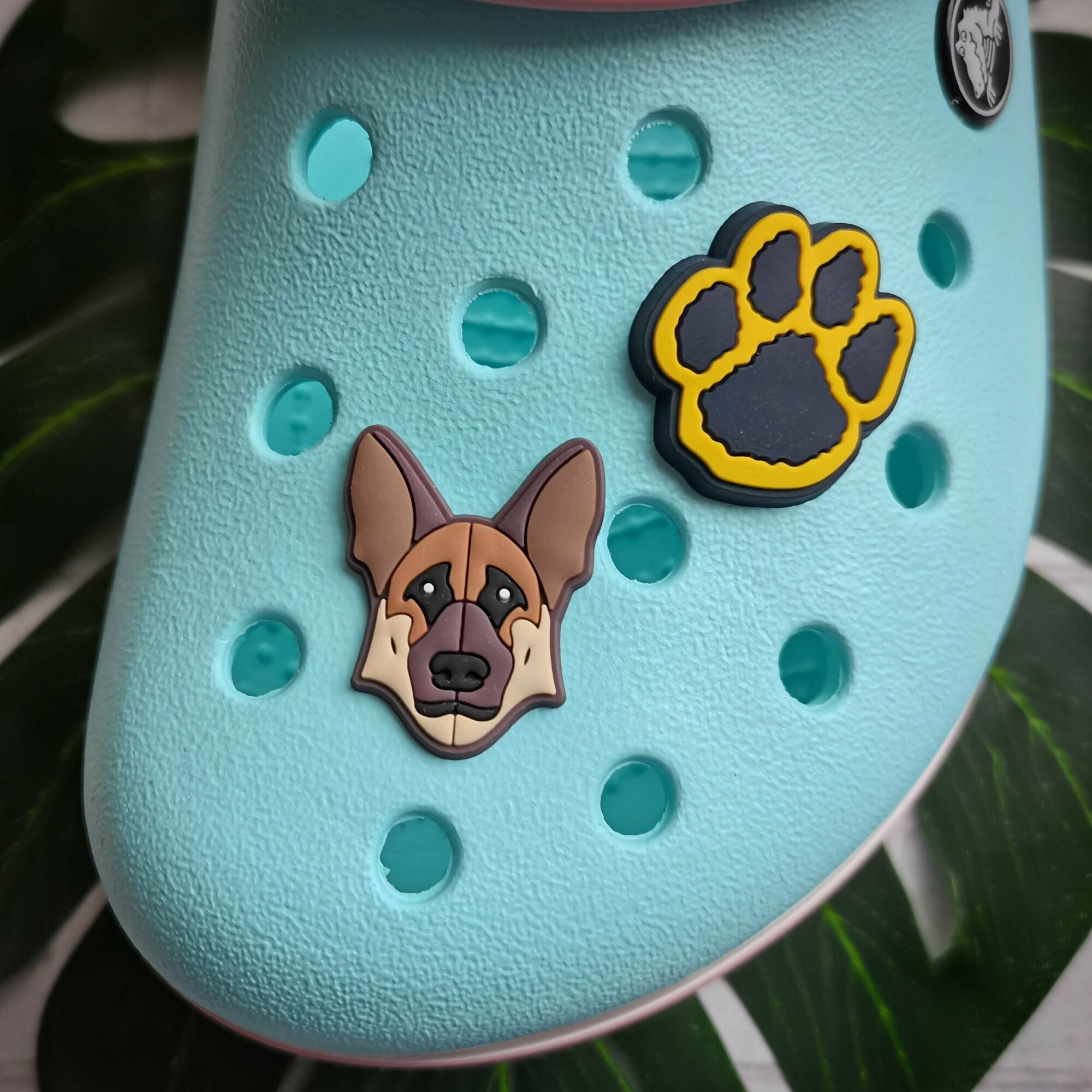 Джибитс на crocs собака Овчарка — фото 1