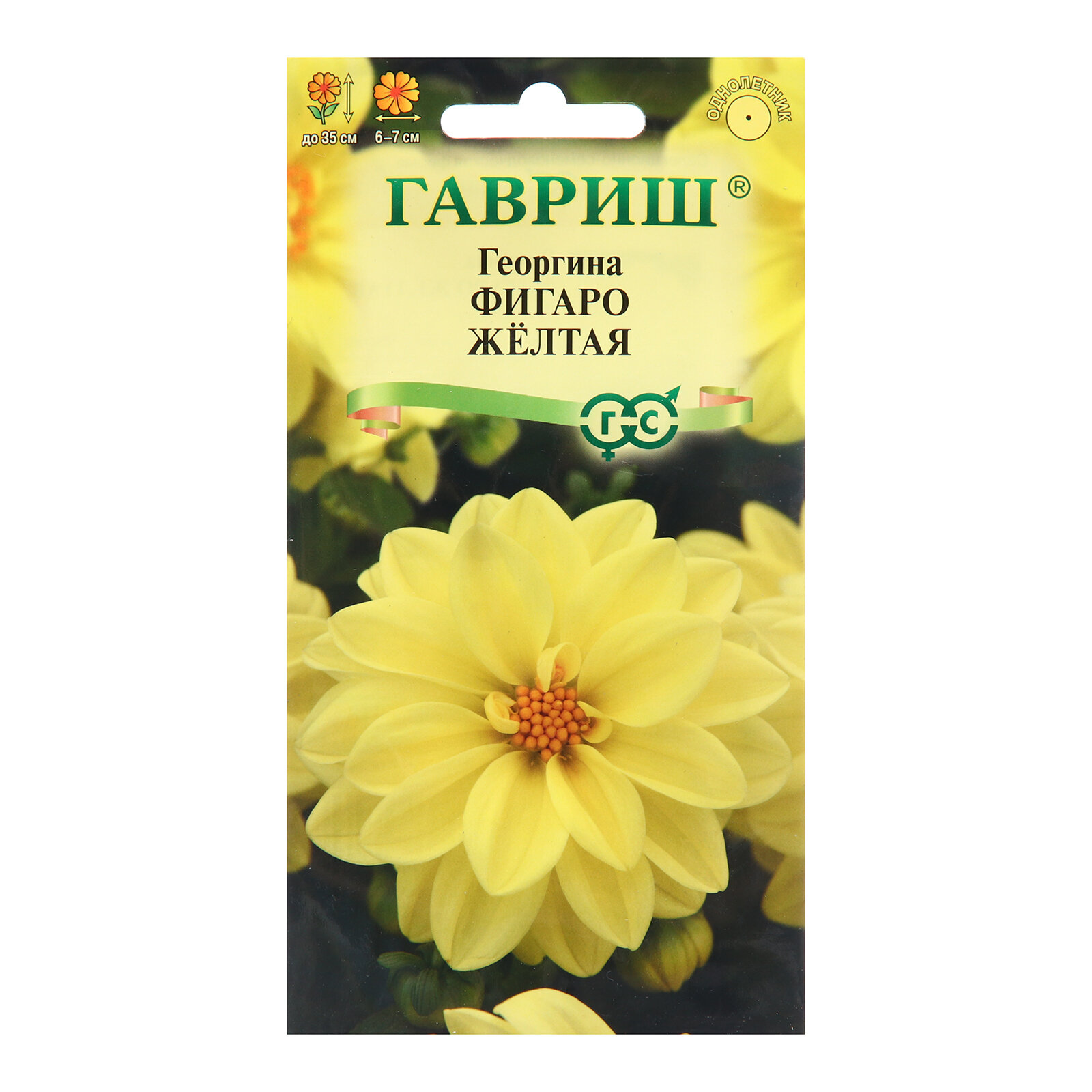 Семена цветов Георгина «Фигаро», жёлтая, 7 шт, «Гавриш»