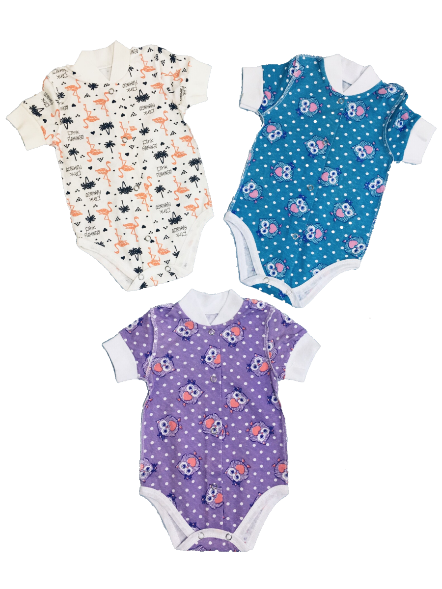 Боди базовая, комплект из 3 шт.