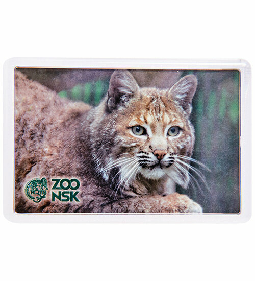 Магнит Новосибирский зоопарк МТ-001/02 113-401924