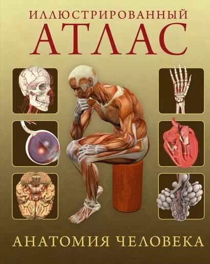 Роубак Джейми: Иллюстрированный атлас. Анатомия человека