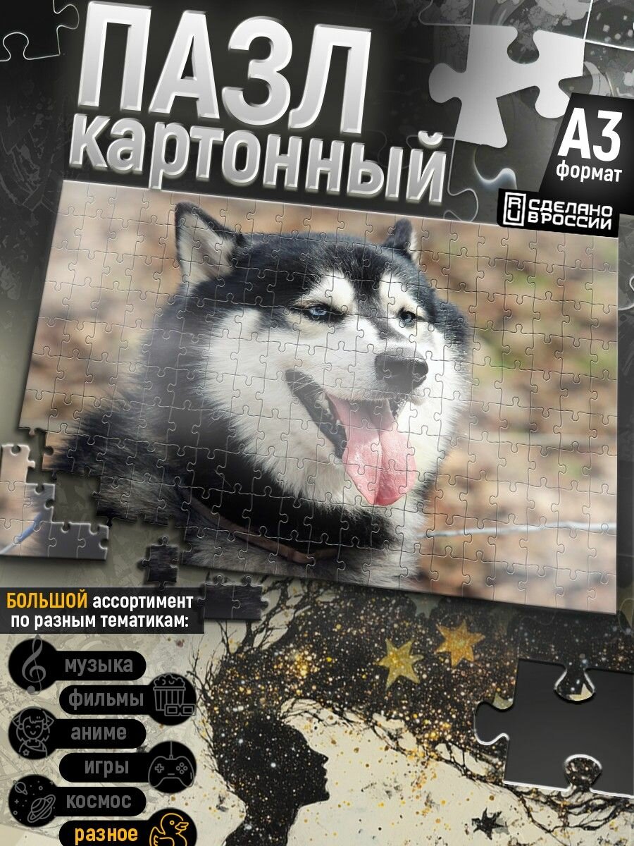 Пазл картонный А3: животные Хаски (собака, пес, милота, домашний питомец) - 52501275