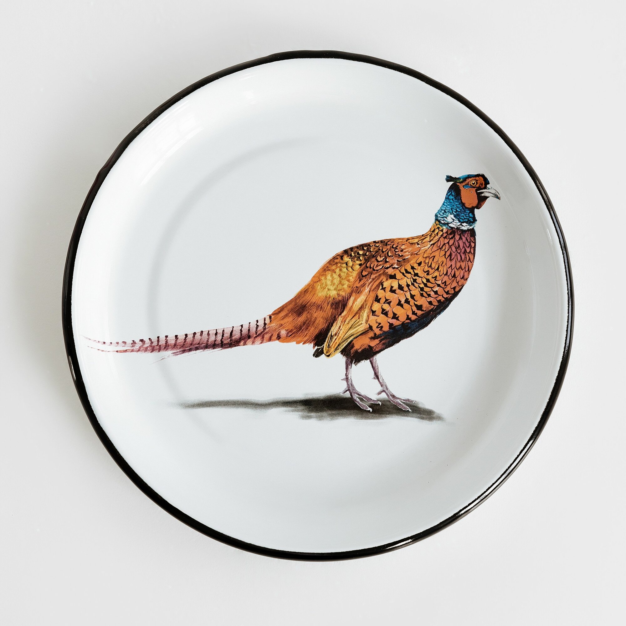 Тарелка эмалированная Эмалика "Фазан" 22 см