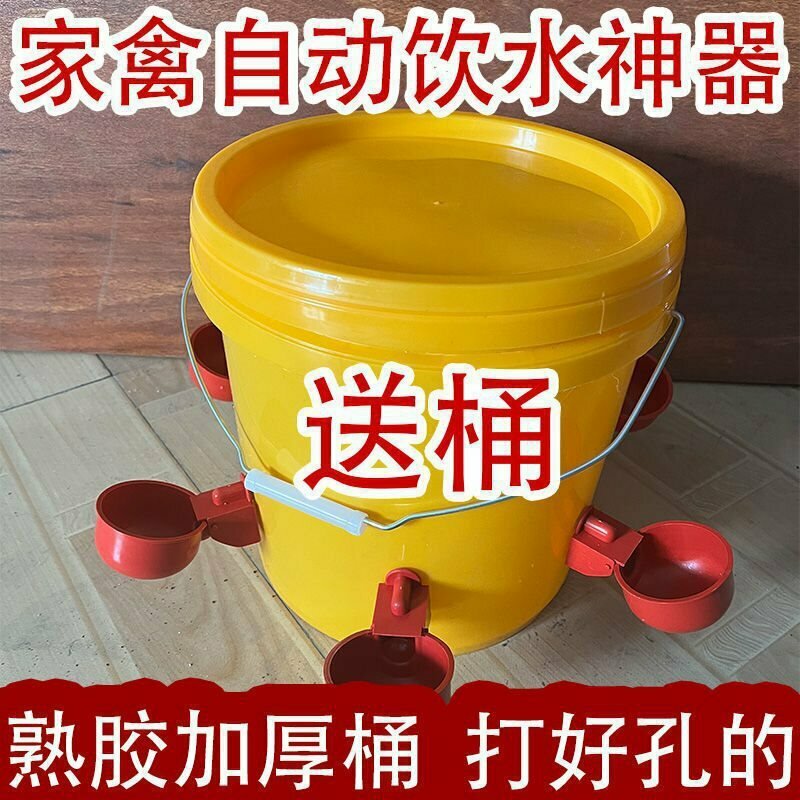 Автоматическая поилка для кур, уток и гусей, ведро для воды для разведения, автоматическая поилка для кур, уток и гусей, миска для воды для голубей