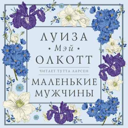 Маленькие мужчины [Аудиокнига]