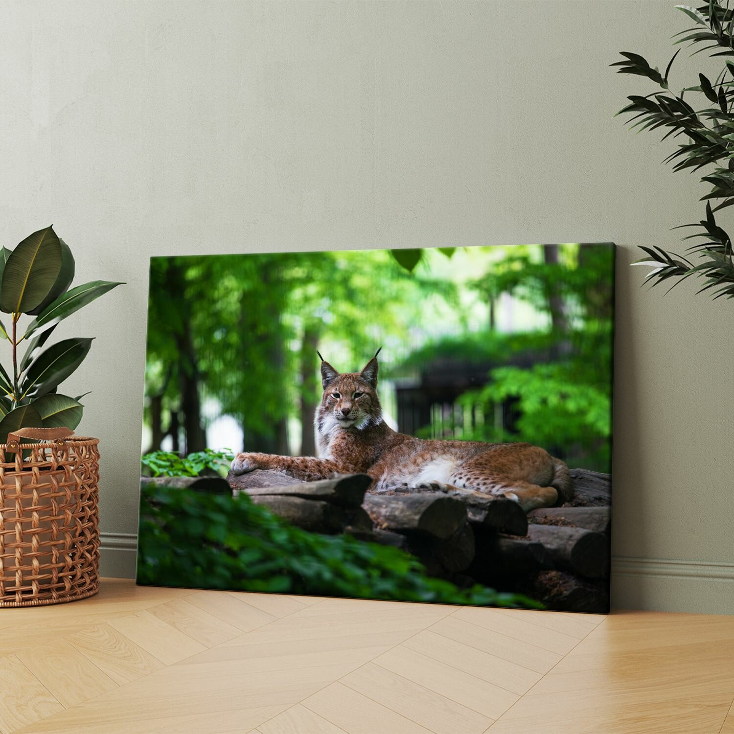 Картина на холсте (Рысь лежит на камне в лесу) 20x30 см. Интерьерная, на стену.