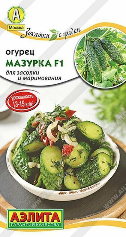Семена растения Огурец Мазурка F1