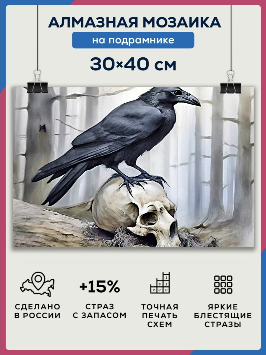 Алмазная мозаика 30x40 Ворон на черепе на подрамнике
