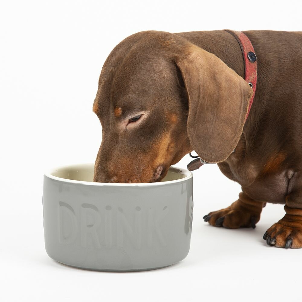 Миска керамическая для собак 1000мл