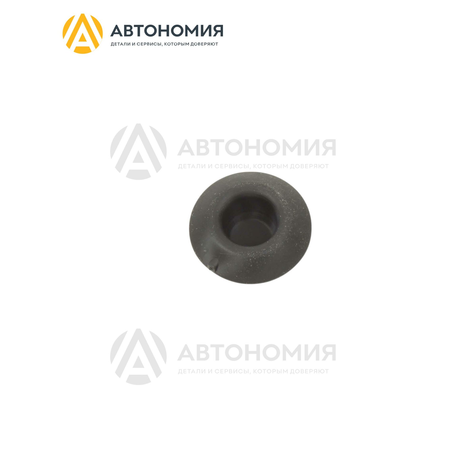 Заглушка кузова Ford W706134-S300