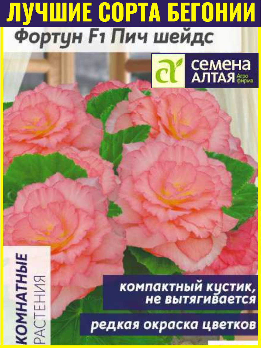 Семена цветов бегония Фортун F1