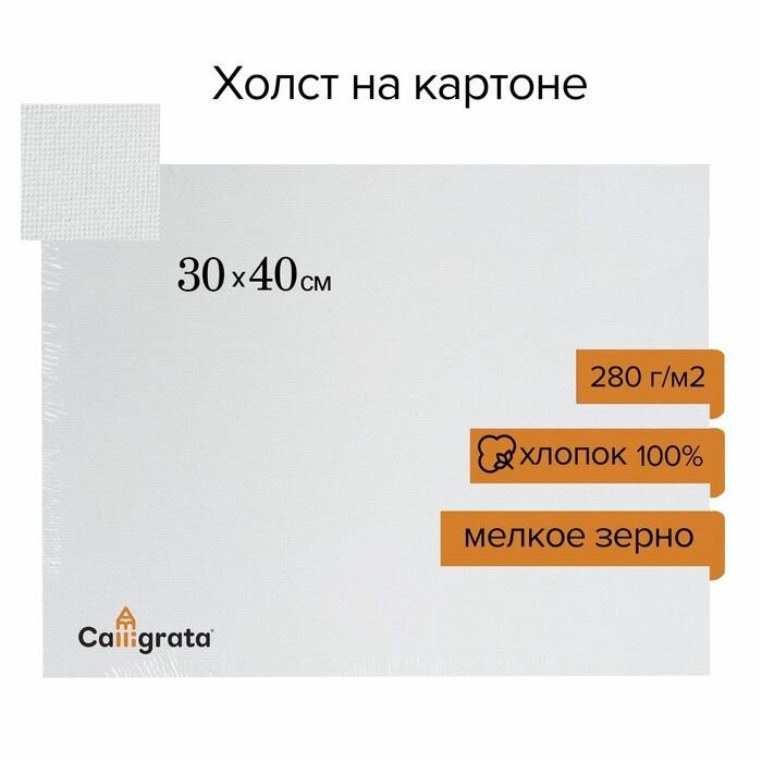 Холст на картоне Calligrata хлопок 100% 30х40 см 3 мм акрил грунт м/з, 280 г/м2