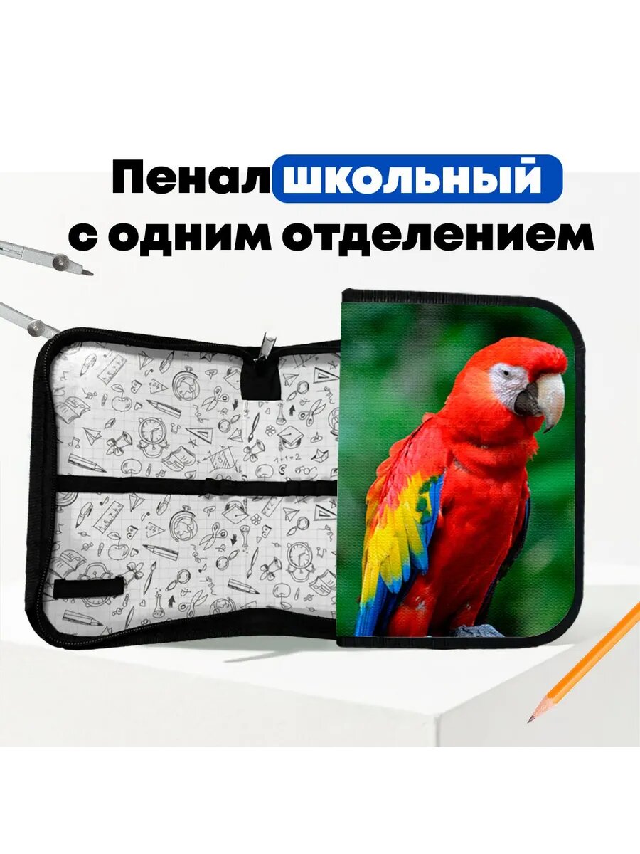 Школьный пенал Попугай