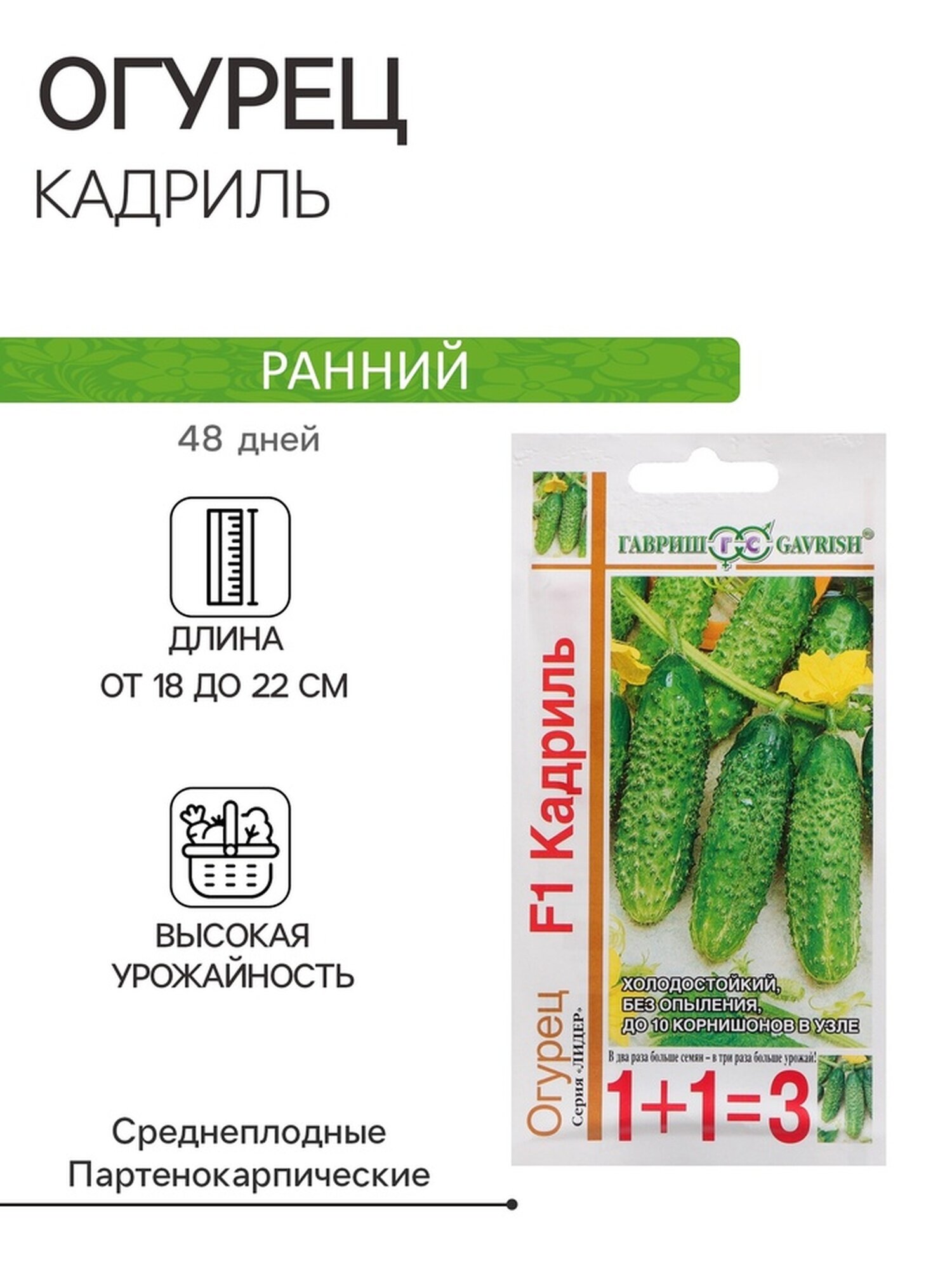 Семена огурца Гавриш "Кадриль F1", корнишон, холодостойкий, 20шт