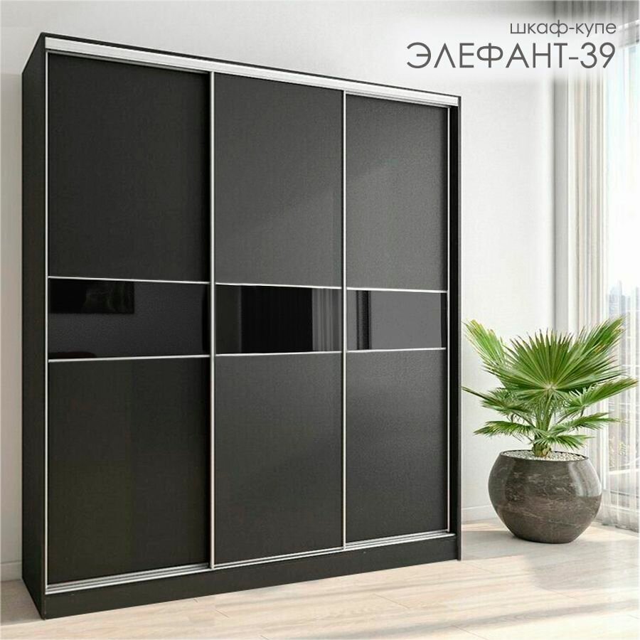 Шкаф-купе Элефант-39