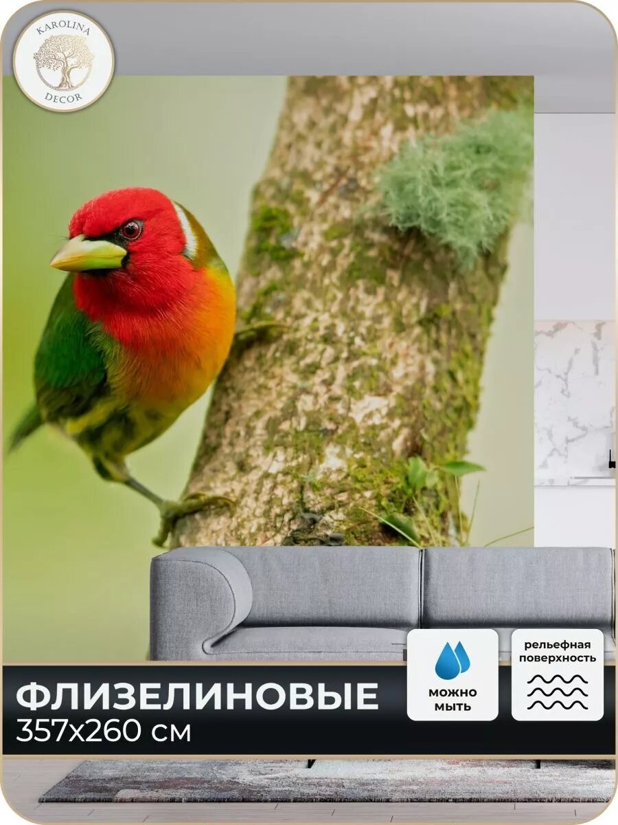 Фотообои Птица в детскую в спальню на кухню 350х260